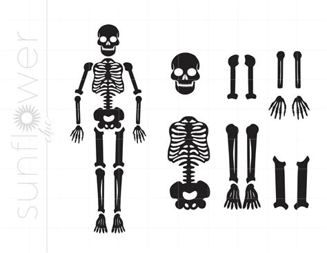 Halloween Svg Skeleton Svg Download Skeleton Bones Svg Cut File Cricut Silhouette Halloween