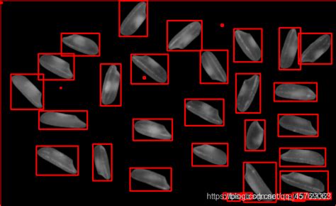 【图像处理】——实现二值图像的轮廓边界跟踪以及轮廓面积周长的求解（connectedcomponentswithstats函数和