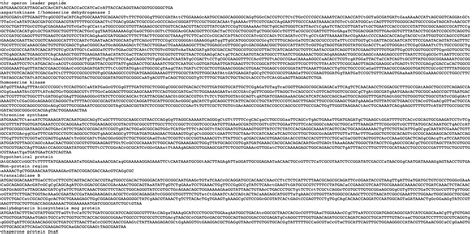 This Assignment Focuses On Arrays And File Text Chegg