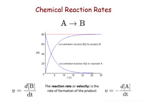 Biochem Chapter 6 Flashcards Quizlet