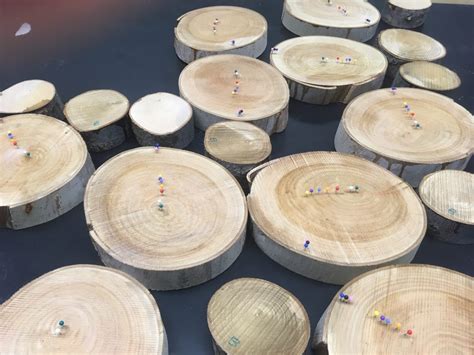 Tree Rings And Climate Lab Teaching AP Science