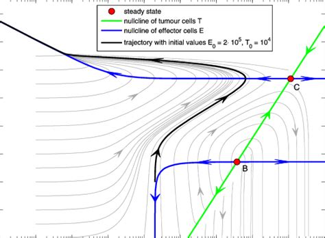 Phase Diagram On The Logarithmic Scale For Tumour Growth Rate α 018
