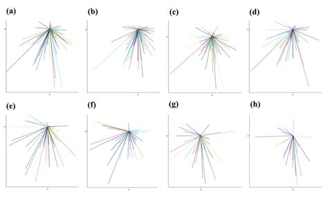 The Plots Demonstrate Graphically The Random Walk Cell Migration