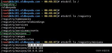 K8s 环境配置查看apiserver Csdn博客