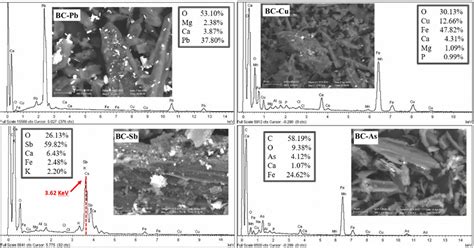 Sem Images And Edx Spectra And Elemental Composition Relative To