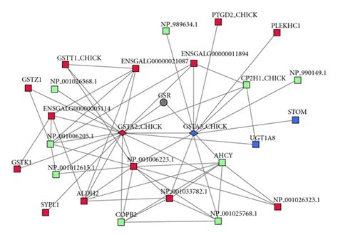 Example Of Sex Differentiation Driven Subfunctionalization The Chicken Download Scientific Example Of Sex Differentiation Driven Subfunctionalization The Chicken Download Scientific