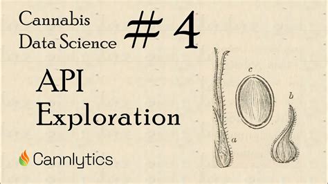 API Exploration Cannabis Data Science Episode YouTube