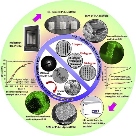 The Preparation And Surface Modification Of 3d Printed Pla Scaffolds Download Scientific