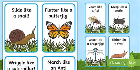 Family Fun Brilliant Bug Counting Twinkl