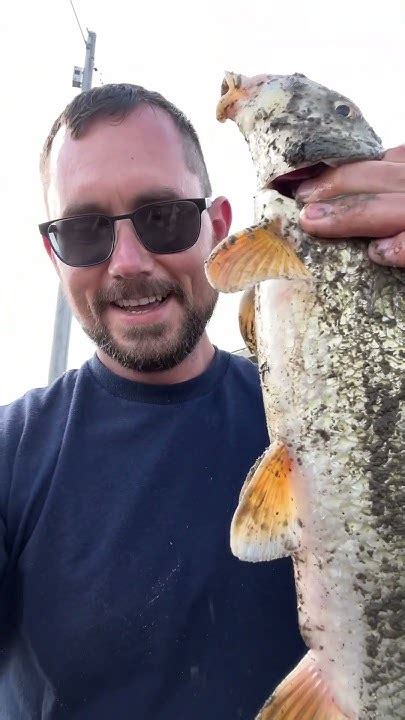 Если знаете как эта рыба называется то напишите в комментариях Youtube