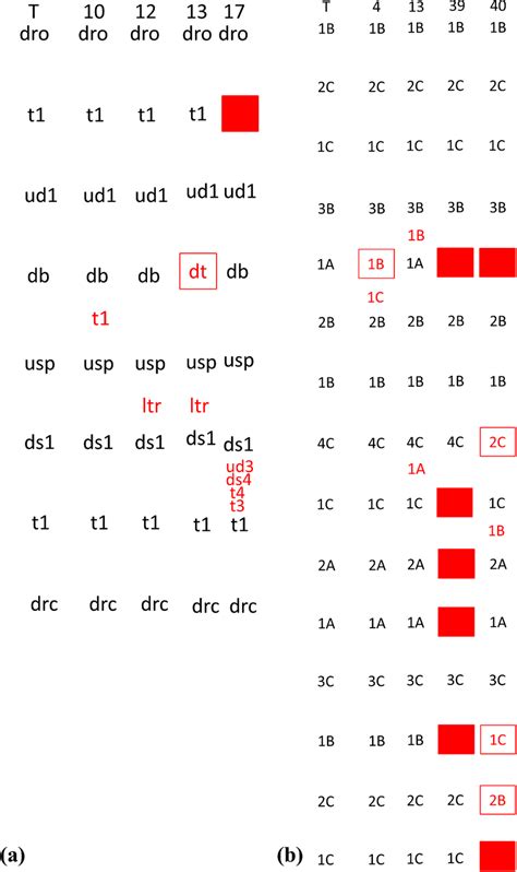 The Full Sequence Alignment For The Reference Sequence T Two Instances