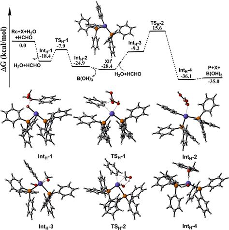 Density Functional Theory Dft Computed Energy Surface And Optimized