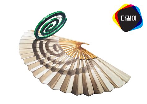 다같이미술학원 정다윤 선생님 시범작 부채 모기향 개체채색 구성 주제부 입시미술 그림 디자인 기초디자인 기초조형 다같이미술학원 대구본원 미술학원