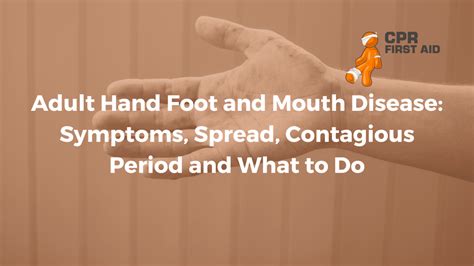 Adult Hand Foot And Mouth Disease Symptoms Spread Contagious Period