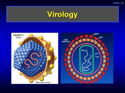 World Epidemiology Are HIV And Other Chronic Diseases Models