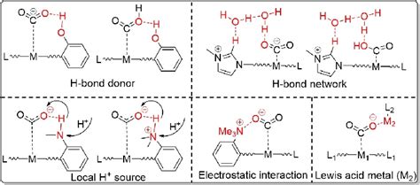 Schematic Diagram Of Second Sphere Coordination Interactions Download Scientific Diagram