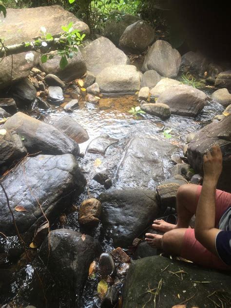 ප්‍රදාන මාර්ග ආසන්න ්යේ සාරවත් පොල් වගාව සහ කුබුරු ඇතුළු විසාල ඇල මාර්ග2ක් මැදින් යන අක් 5 ඉඩම