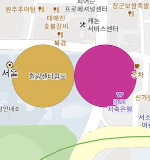 MapPolygonShape KakaoMapsSDK V For IOS