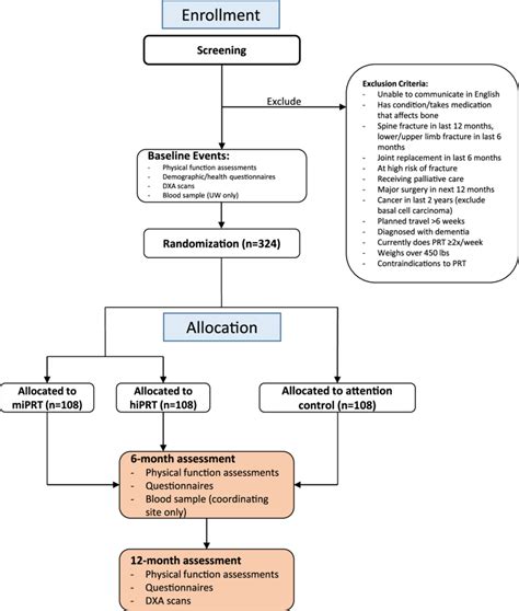Consolidated Standards Of Reporting Trials Consort Flowchart Download Scientific Diagram
