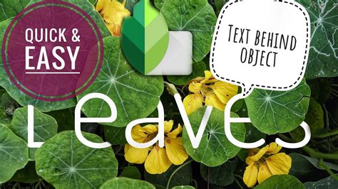How To Add Text Behind Object In Snapseed Photo Editing Youtube
