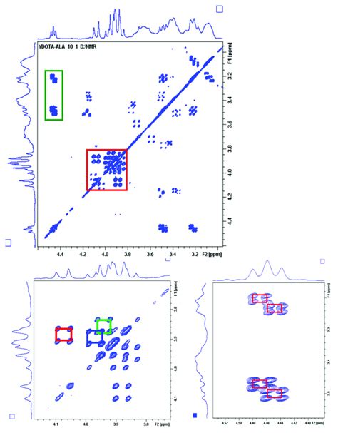 1 H 2d Cosy Spectrum Of Y Do3a Ace − In D 2 O At 80 • C Top And Two