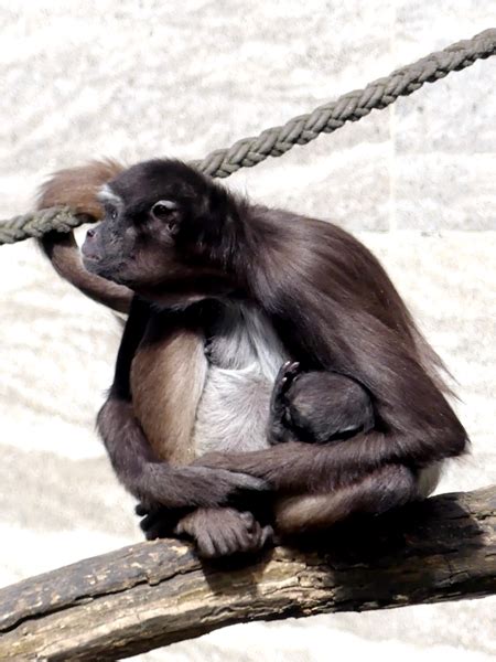 My Spidey Sense Helped Me Pictures Imperfect Blog