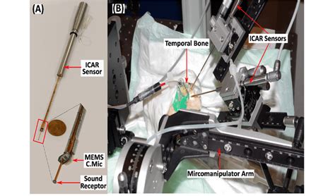 A Custom Made Intracochlear Acoustic Receiver Icar Sensor With A Download Scientific
