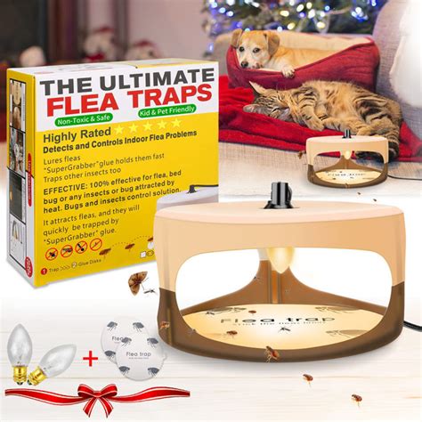 Flea Trap Viscous Round Bed Bear Trap Insect Indoor Pest Control
