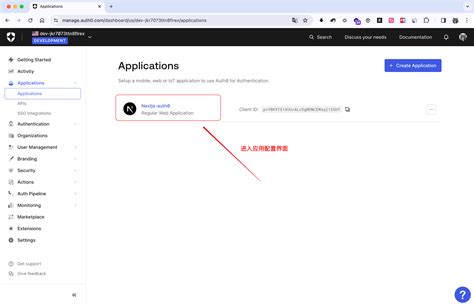 Nextjs 集成 Auth0 登入和自定义登入页面nextjs 登录 Csdn博客