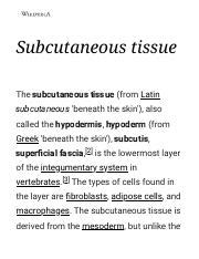Understanding Subcutaneous Tissue Structure Function And Course Hero