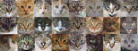 機械学習で猫を創造する失敗 Qiita 機械学習で猫を創造する失敗 Qiita