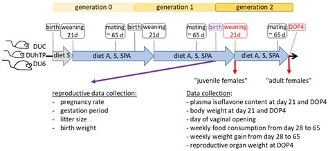 Impact Of Dietary Isoflavones In Standard Chow On Reproductive