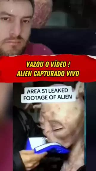 Alinity Leaked Discover