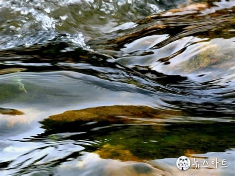 흐르는 물처럼