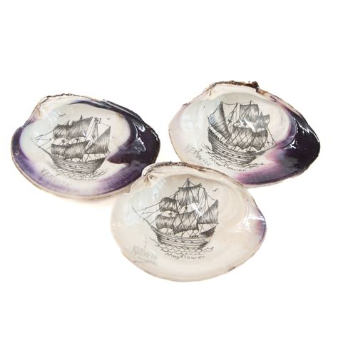 Hand Drawn Mayflower Quahog Shell Plimoth Patuxet Museum Shop
