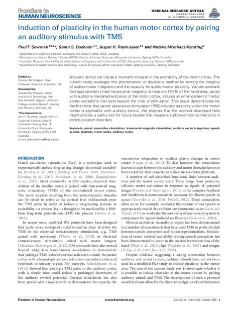 Pdf Induction Of Plasticity In The Human Motor Cortex By Pairing An