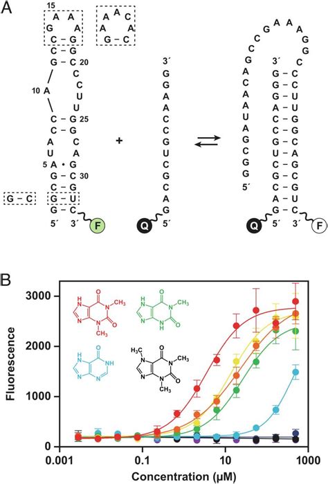 Discovery Of Small Molecules That Target A Tertiary Structured Rna Proceedings Of The National