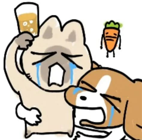 比格多栋表情包相关表情包 表情包专辑 求表情网 斗图从此不求人