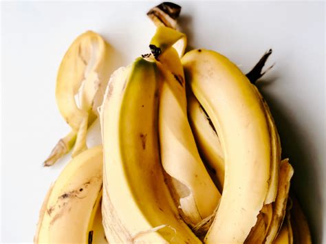 바나나 껍질 분리수거 방법 음식물 일반 쓰레기 무엇일까 네이버 블로그