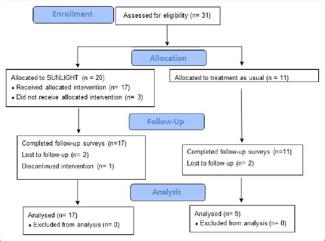 Pilot Feasibility Trial Flow Diagram Download Scientific Diagram