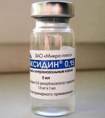 Максидин для собак: инструкция по применению капель в нос, глаза и ...