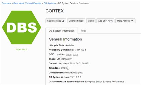 upgrading databases in oci db systems swiv