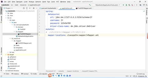 Mybatis整合达梦数据库mybatis 达梦 Csdn博客