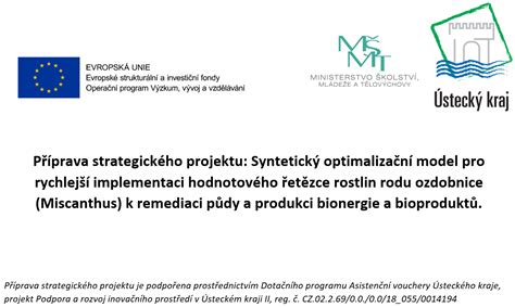 Preparation Of A Strategic Project Synthetic Optimization Model For