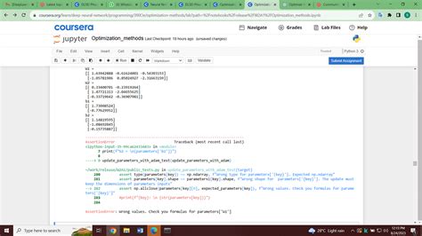 error in week2 assignment of optimization methods deeplearning