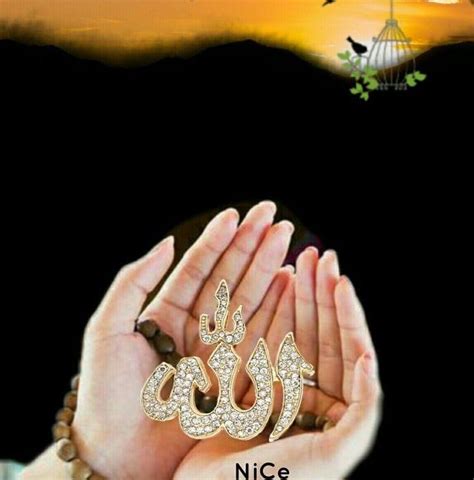 شيماء صالح On Reels