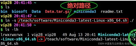 Linux基础上 服务器连接、文件及文件夹基本命令linux 链接文件夹 Csdn博客