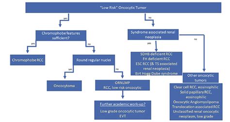 Low Grade Oncocytic Tumors Of The Kidney A Clinically Relevant Approach For The Workup And
