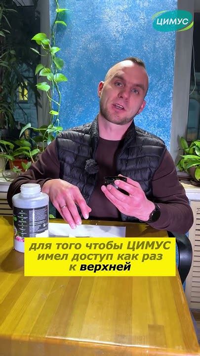 Лучшая подкормка для цветов Инструкция по применению для цветов и домашних растений биогумус