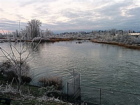 Frozen Brian Eckert Brian Eckert